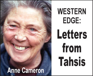 #13 Enbridge conspiracy theory - BC BooklookBC Booklook