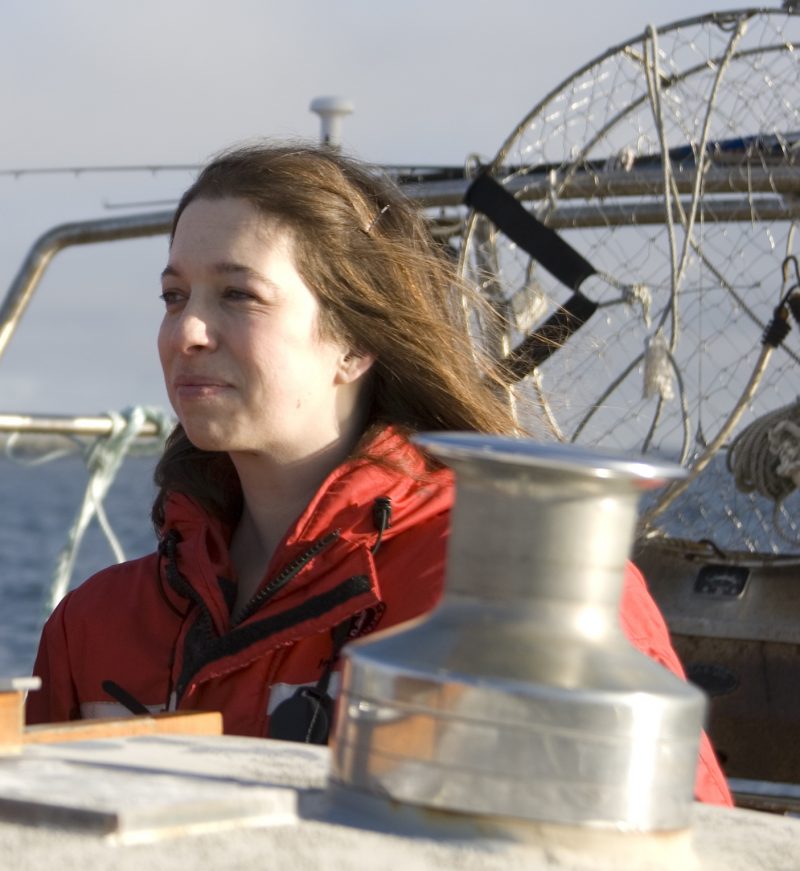 #126 Marine birds - BC BooklookBC Booklook