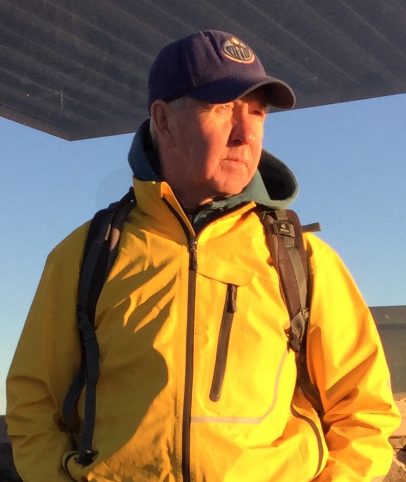 Fat Cats gets gold - BC BooklookBC Booklook