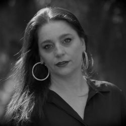 Confronting Nazi Germany - BC BooklookBC Booklook