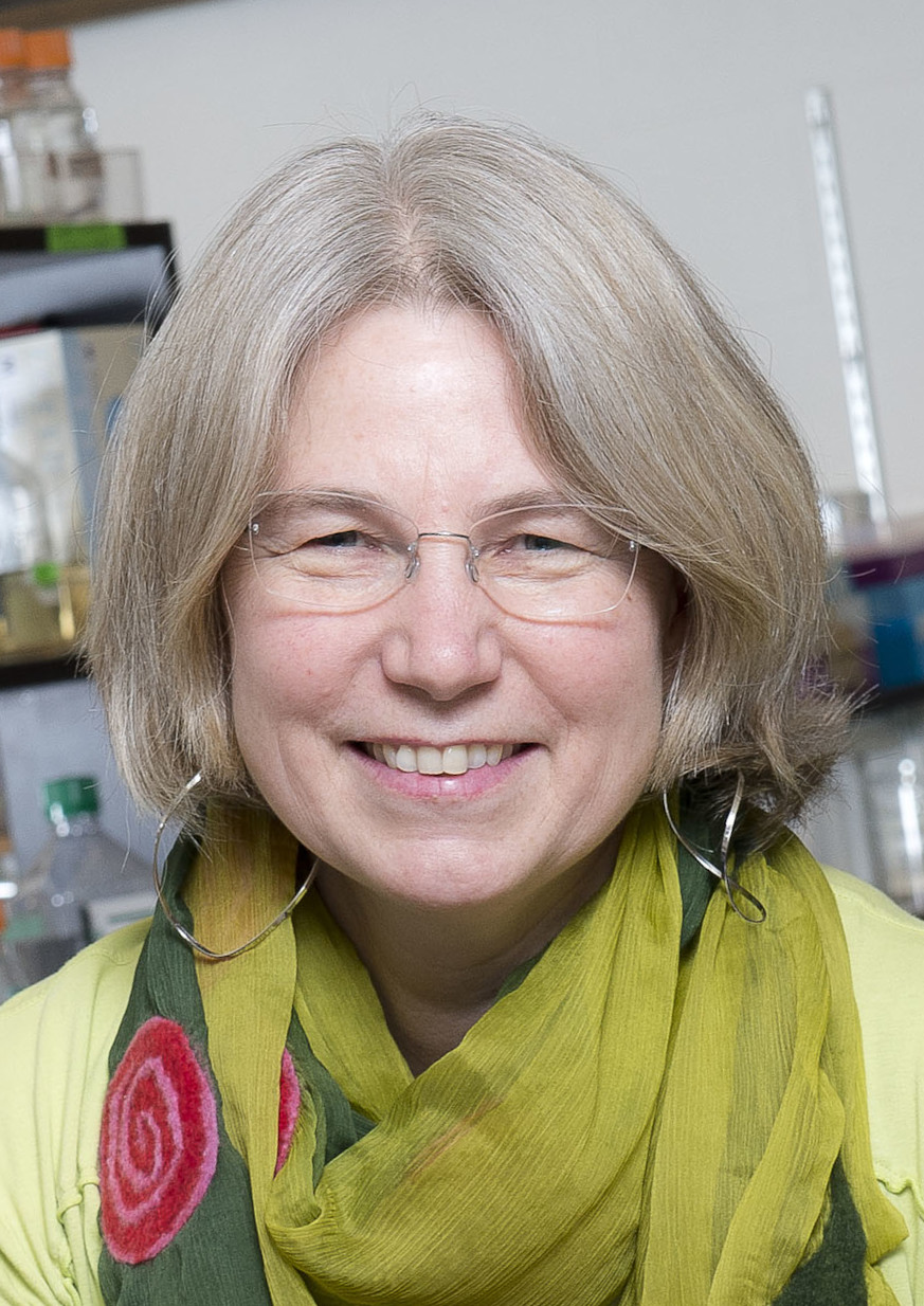 Red snowfields and melting ice caps - BC BooklookBC Booklook